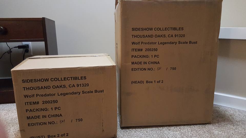 Sideshow Wolf Predator 1:2 bust – Statue Unboxing