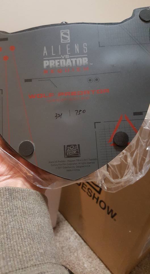 Sideshow Wolf Predator 1:2 bust – Statue Unboxing