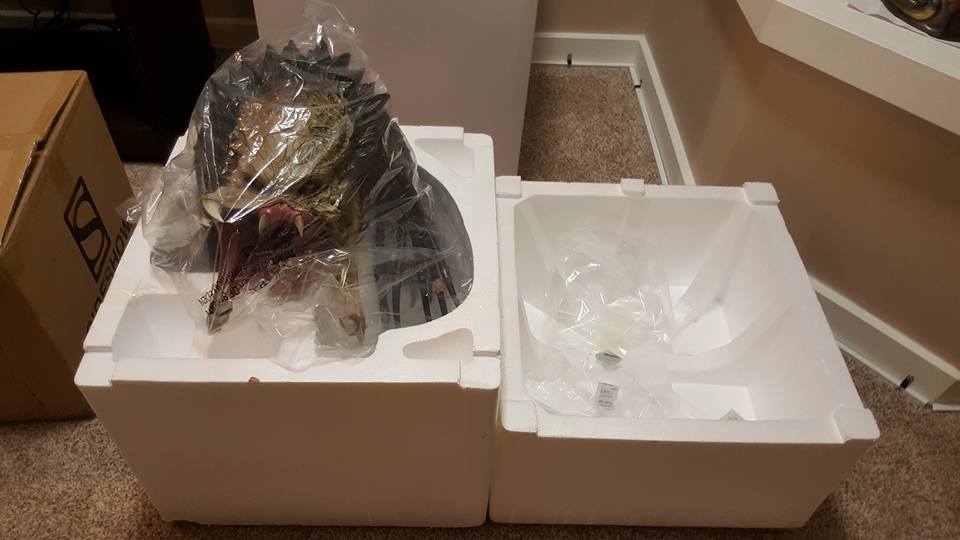 Sideshow Wolf Predator 1:2 bust – Statue Unboxing